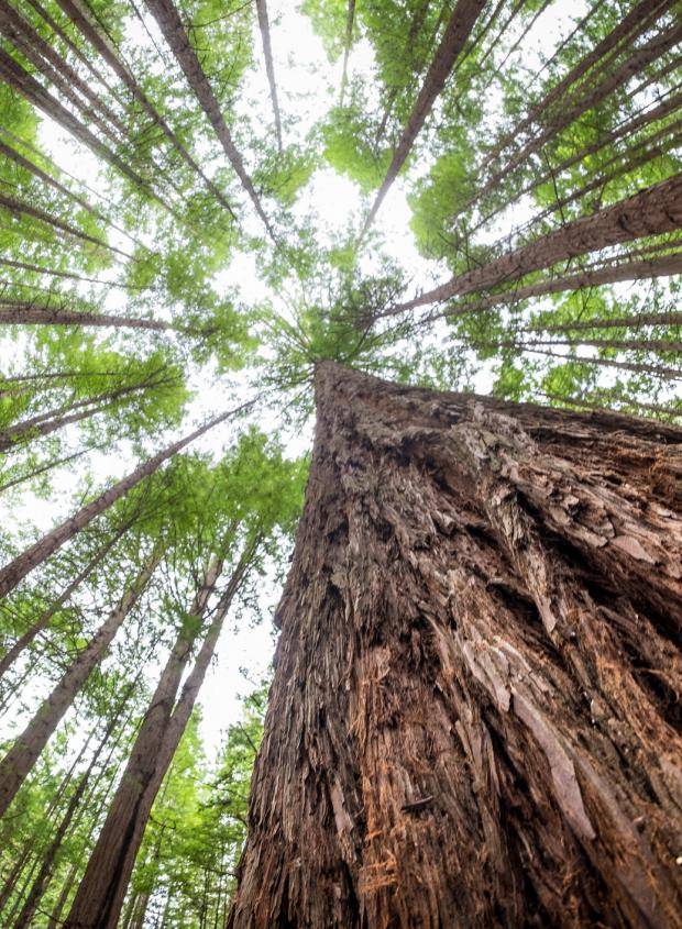 Reporting impact | WHEB