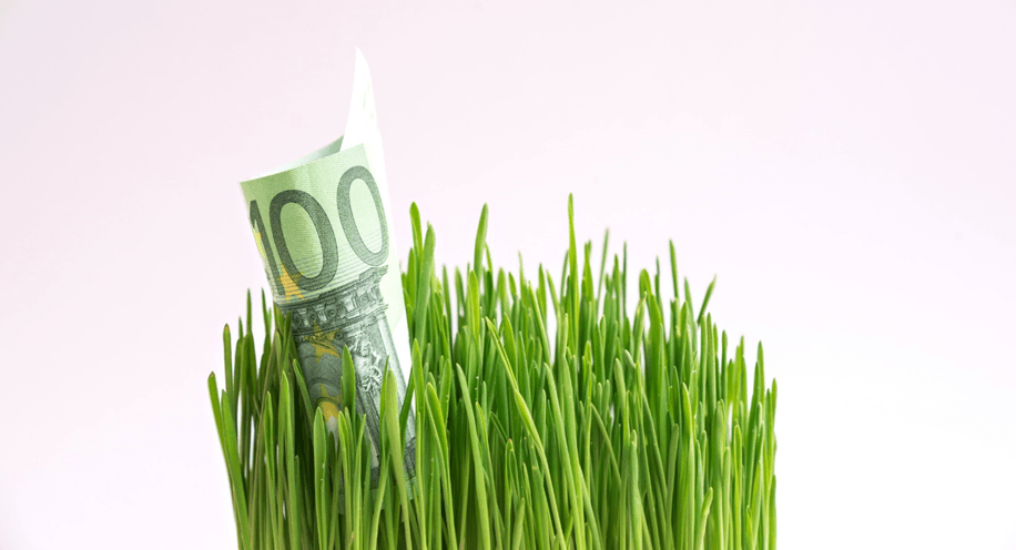Greenwashing, regulation and sustainable investment | WHEB